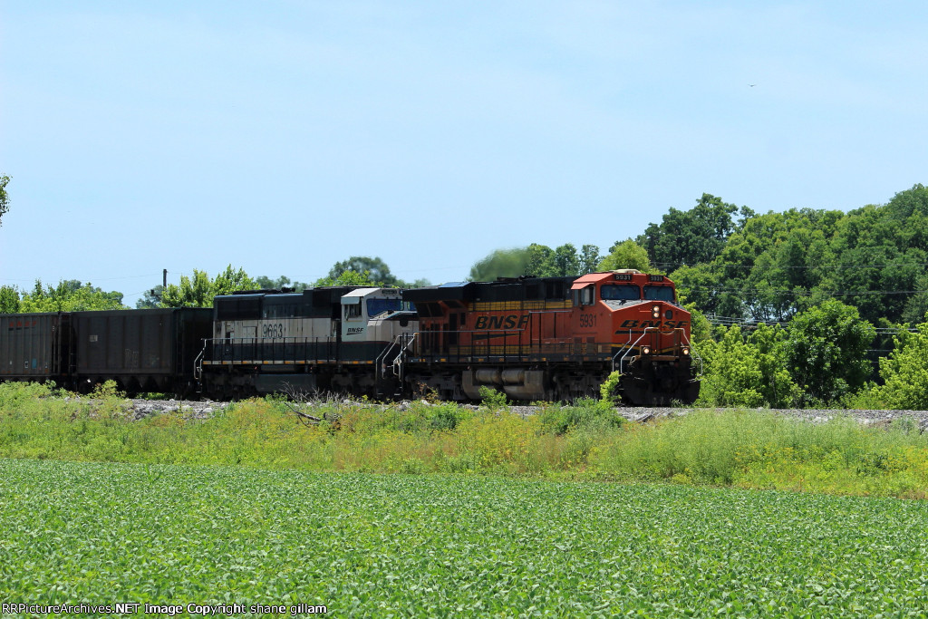 BNSF 5931 leads a empty coal back toward the mines.